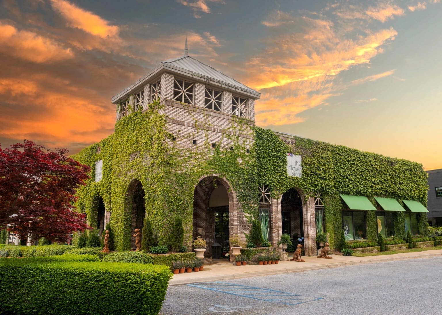 Contact - The Flower Store